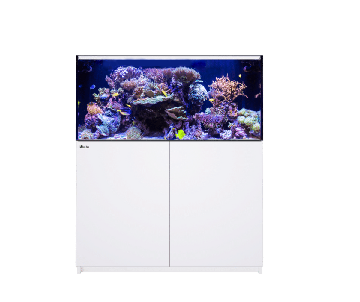 Reefer XL 425 G2 System (91 Gal) - Red Sea – Deep Sea Creations